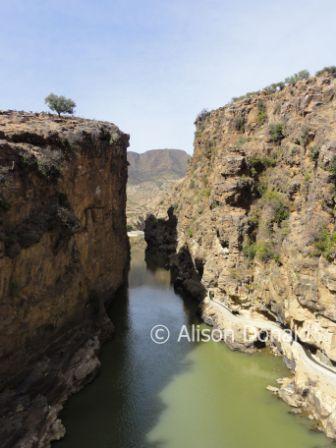 Travel to Tarija Bolivia. Tarija Travel, Tour and Hotel Information ...